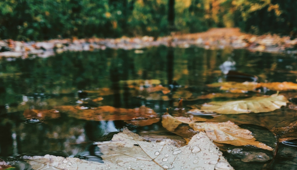 General Mills: Corporate insights from piloting freshwater SBTs ...