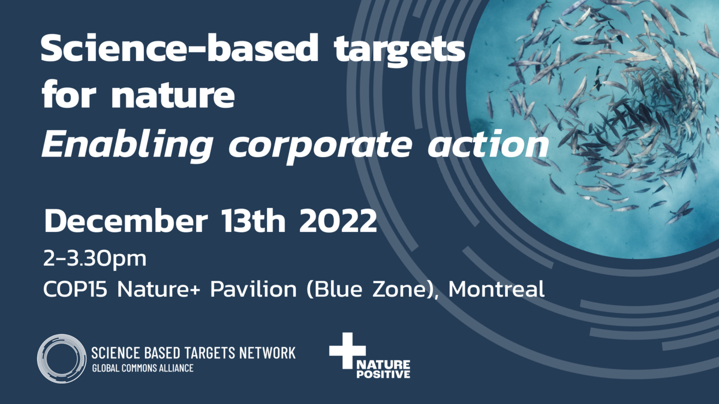 Science-based targets for nature: Enabling corporate action – Science Based Targets Network