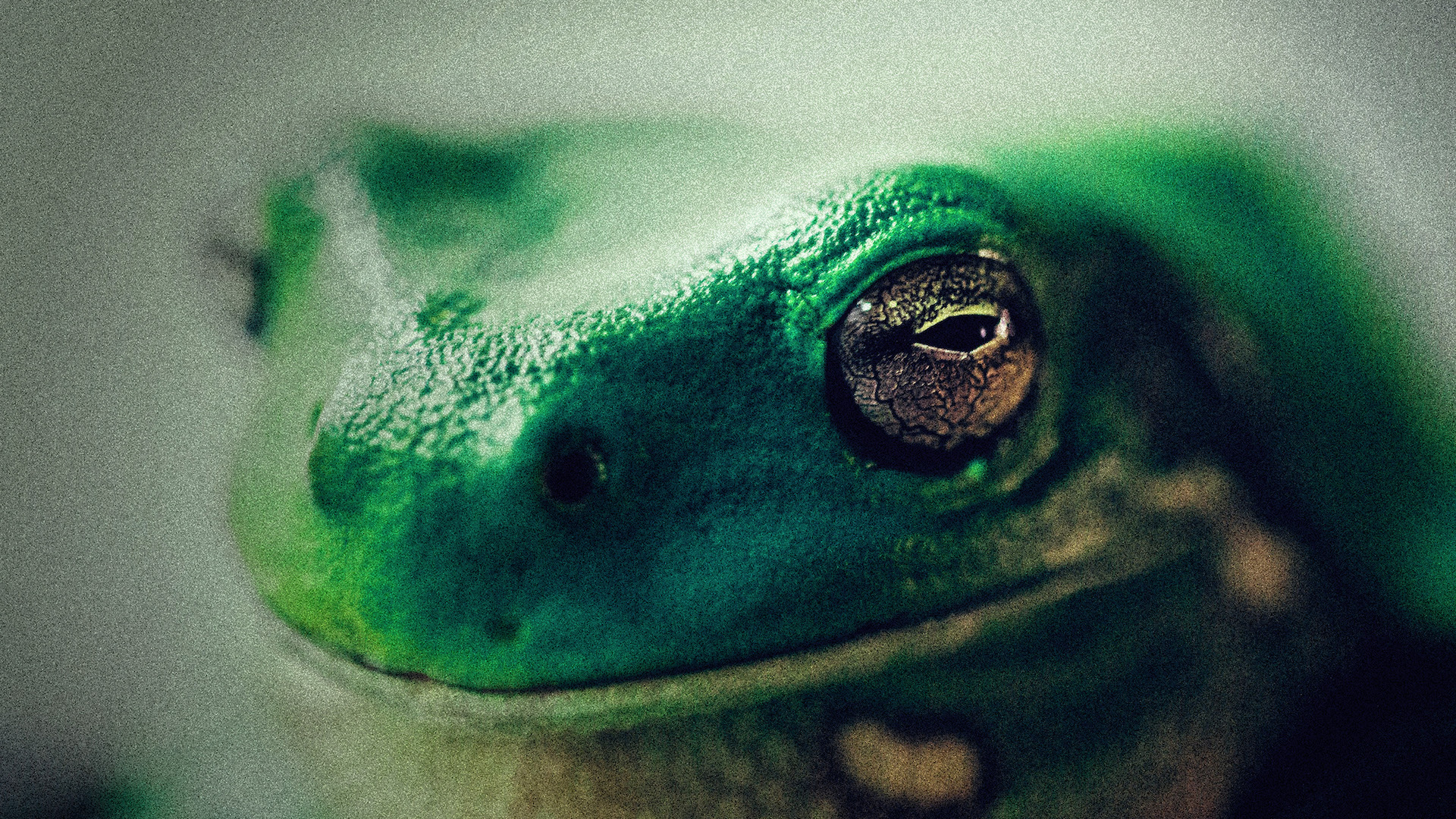 Introducing the first science-based targets for nature – Science Based Targets Network