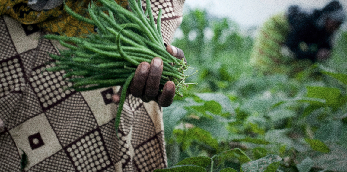 Target tracker – Science Based Targets Network