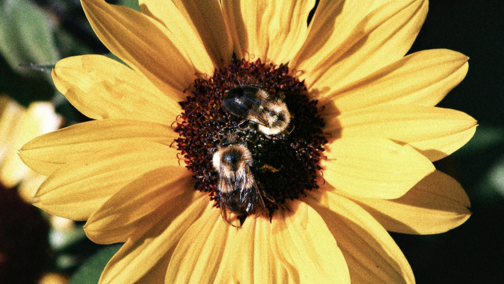 First release of science-based targets for nature set for May 2023 ...