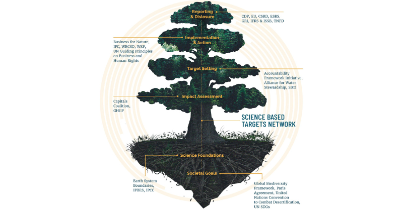 Nature Positive and SBTs for nature – Science Based Targets Network
