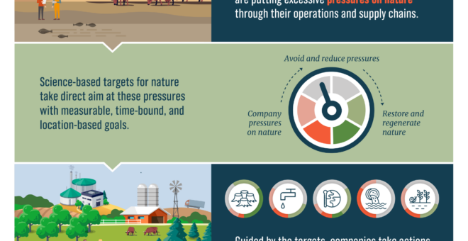 Nature Positive and SBTs for nature – Science Based Targets Network