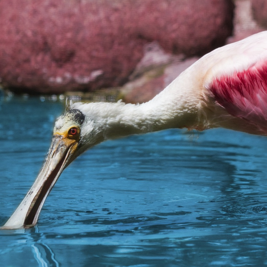 Set targets – Science Based Targets Network