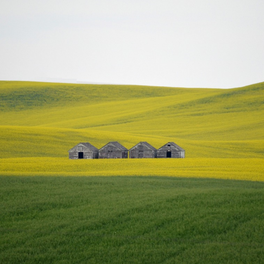 Land targets – Science Based Targets Network