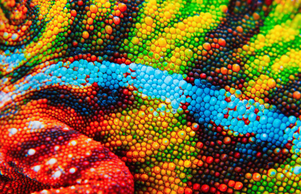 Target validation – Science Based Targets Network