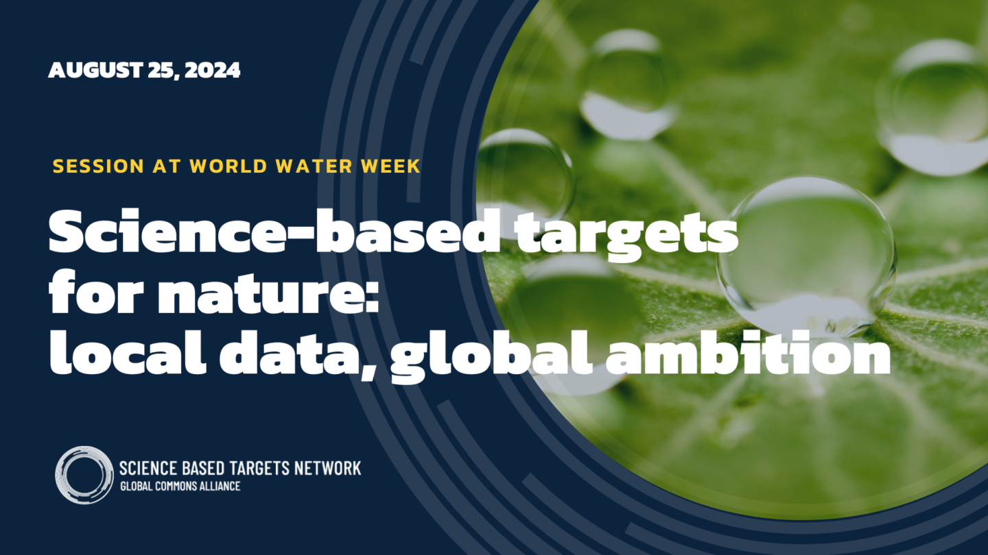Science-based targets for nature: local data, global ambition – Science Based Targets Network