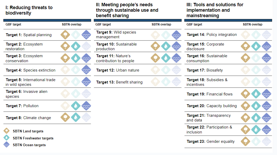 What the Global Biodiversity Framework Means for Your Business—and How ...