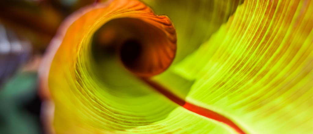 SBTN announces first companies publicly adopting science-based targets ...