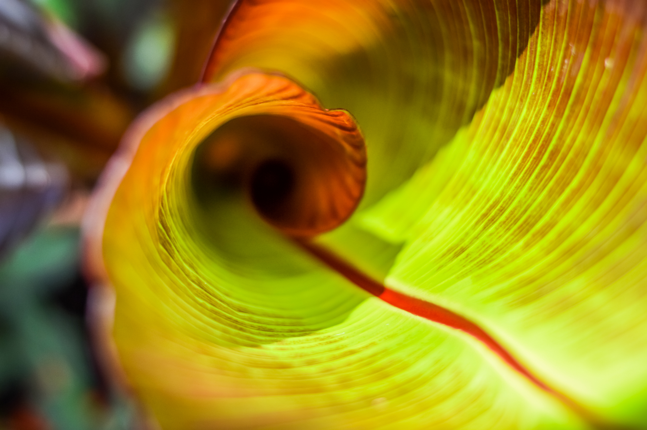 Target tracker – Science Based Targets Network