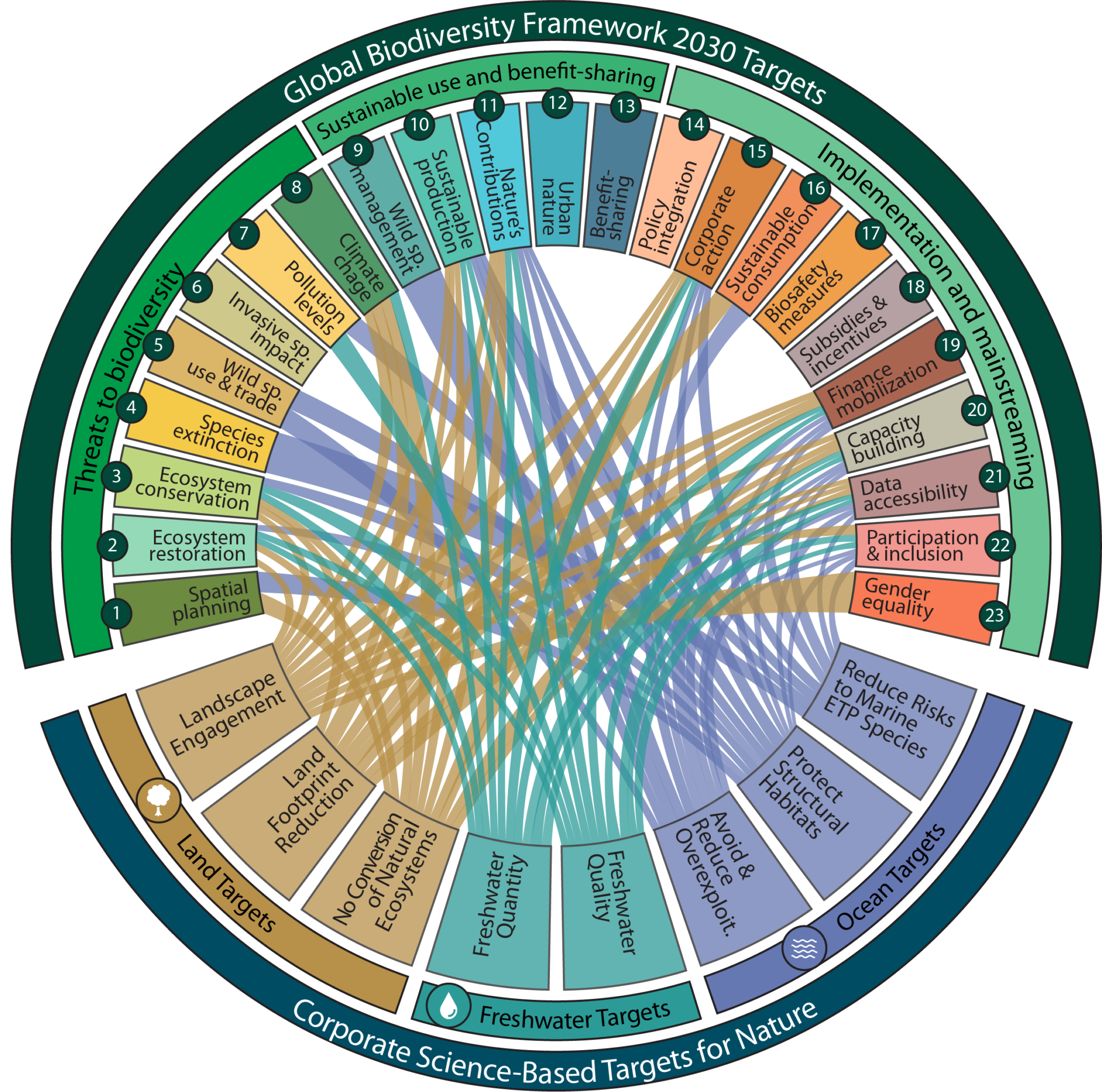 What the Global Biodiversity Framework Means for Your Business—and How ...