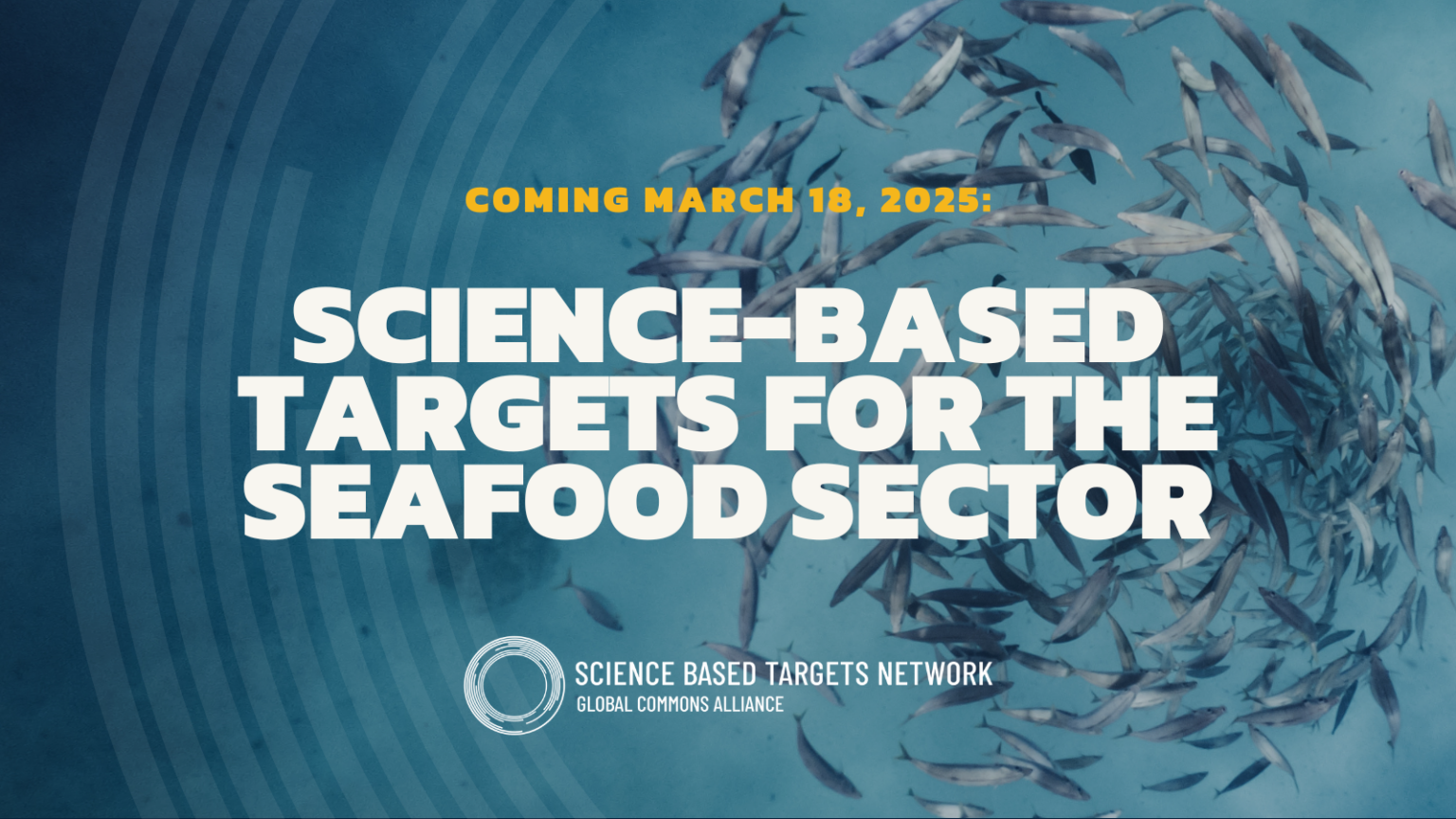 February 2025 Newsletter – Science Based Targets Network