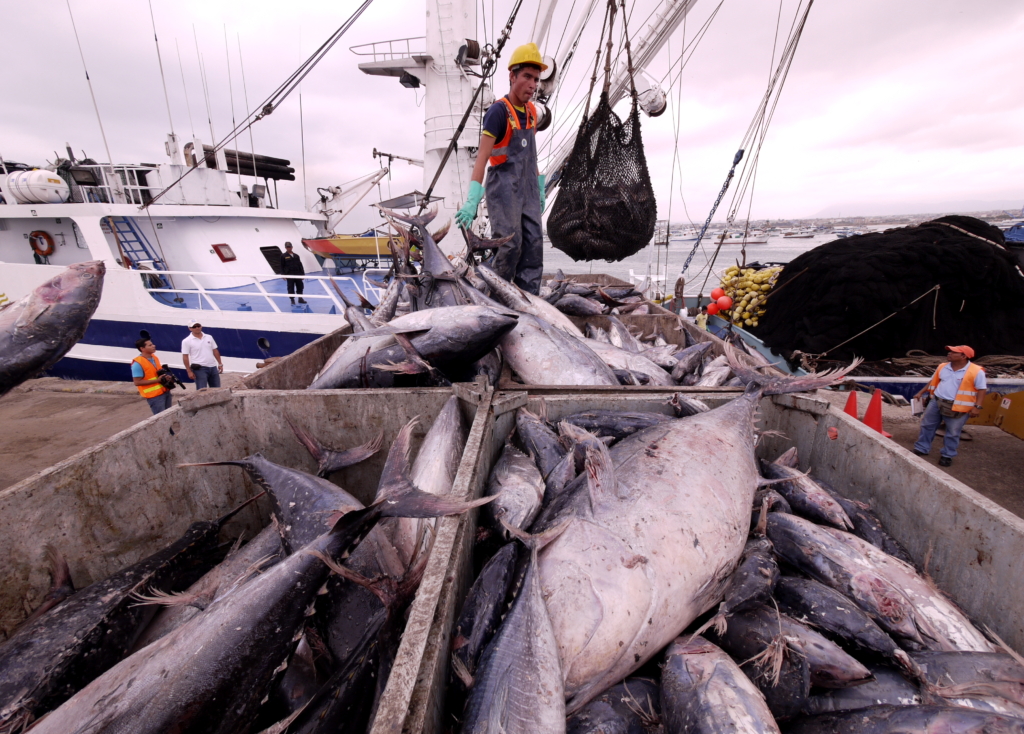 Ocean targets – Science Based Targets Network