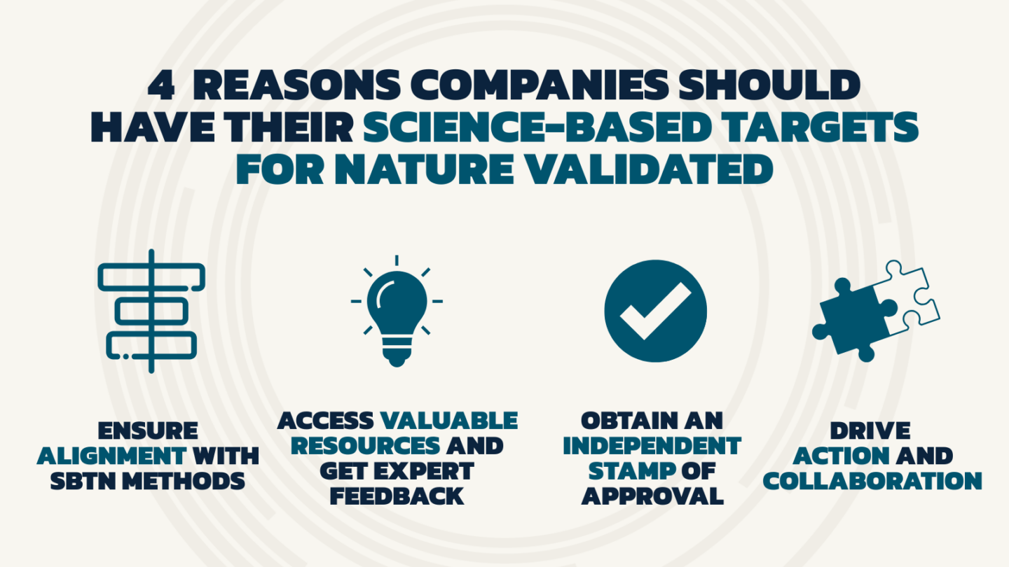 April 2025 Newsletter – Science Based Targets Network