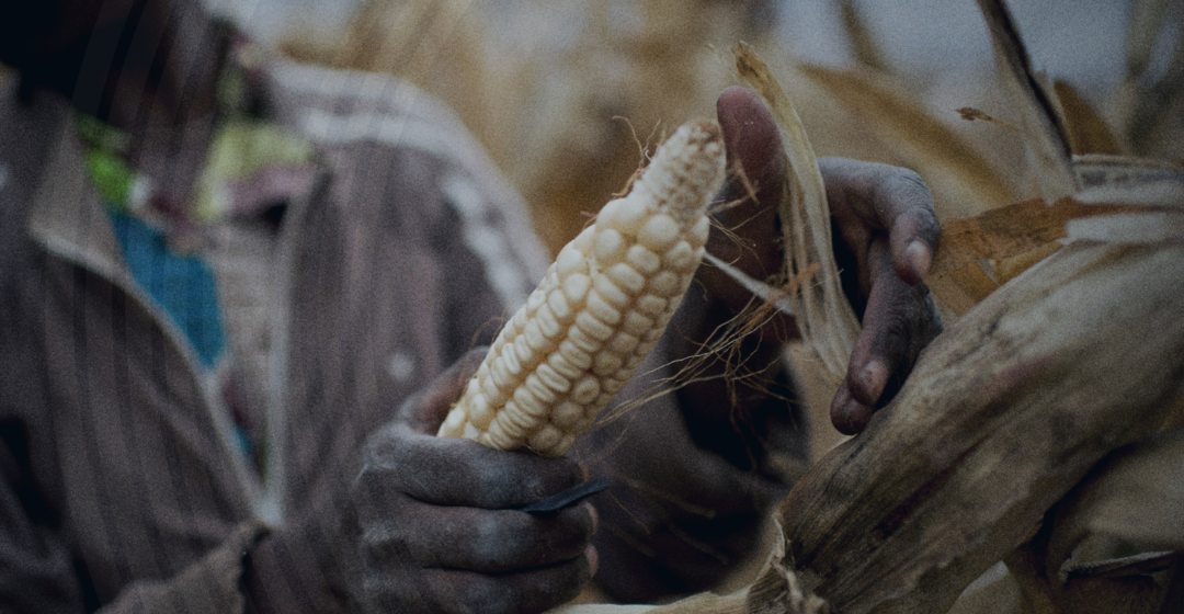 See science-based targets for nature as out of reach? There's more ...