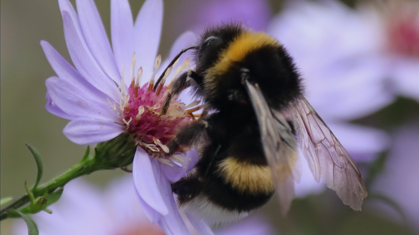 May 2025 Newsletter – Science Based Targets Network