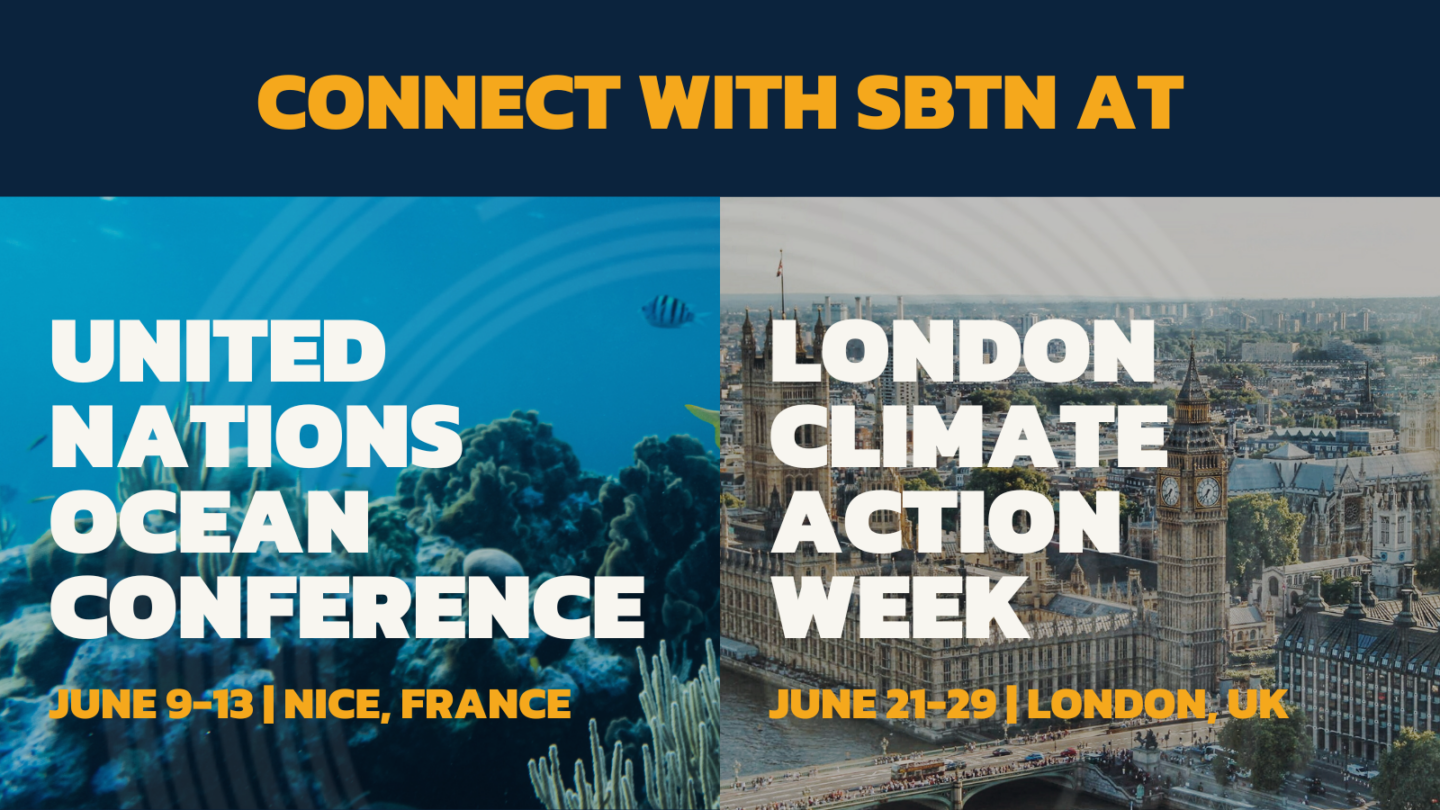 May 2025 Newsletter – Science Based Targets Network