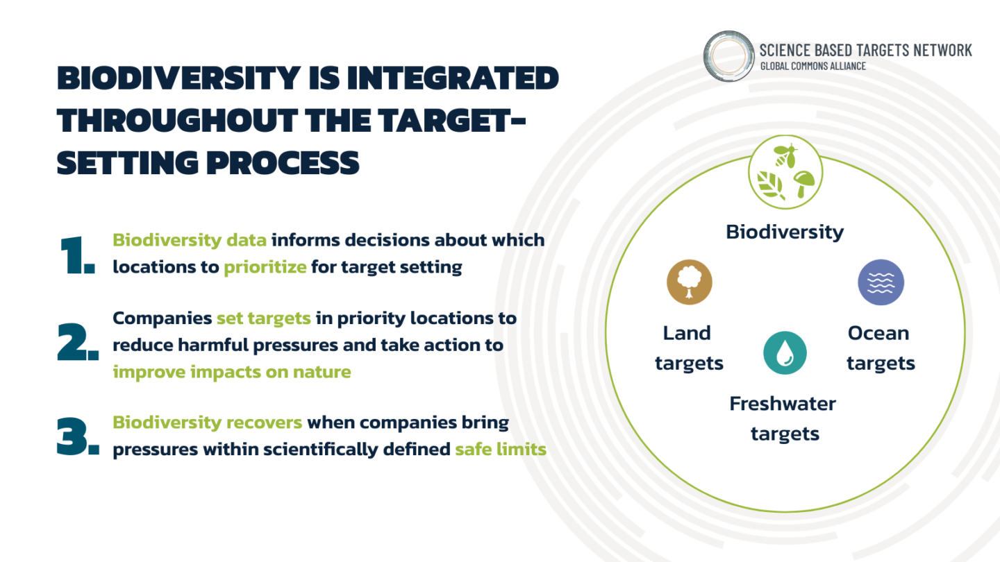 May 2025 Newsletter – Science Based Targets Network