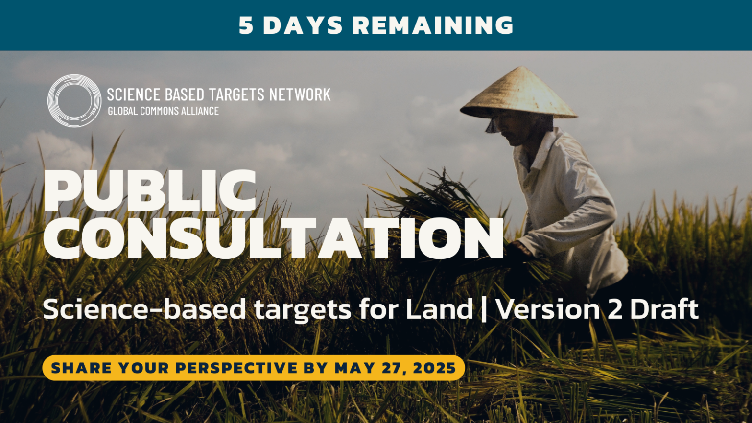 May 2025 Newsletter – Science Based Targets Network