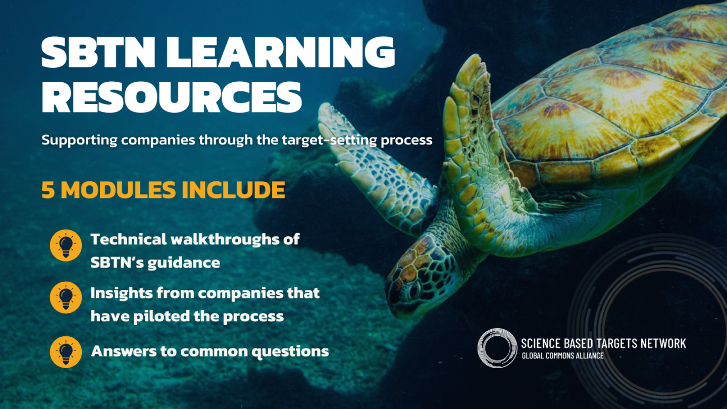 May 2025 Newsletter – Science Based Targets Network