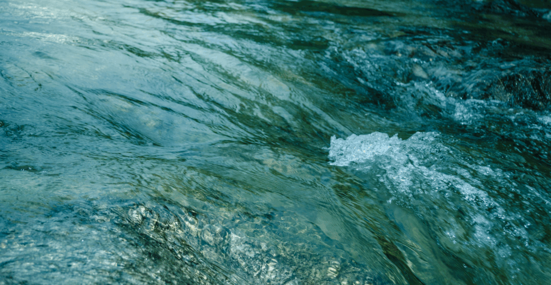 World Water Week: Taking action with freshwater science-based targets ...