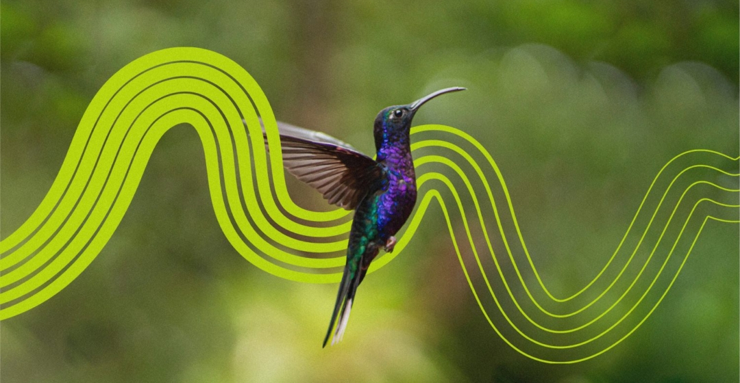 Science Based Targets Network