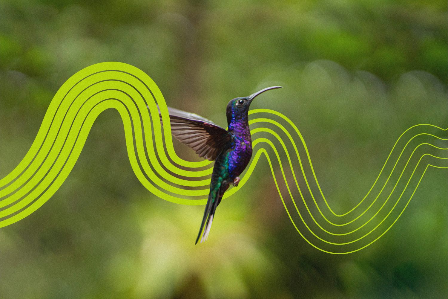 SBTN Launches Step Up for Nature – a new way to turn ambition into ...