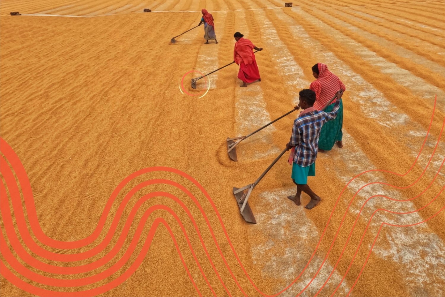 Step Up For Nature – Science Based Targets Network