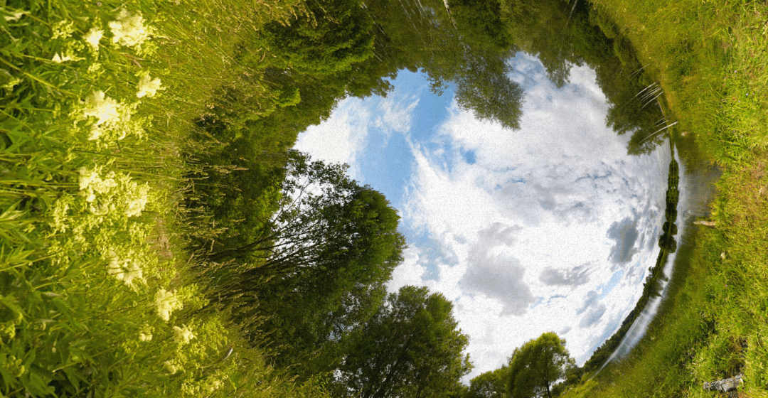 Reflections and progress from SBTN in 2025 – Science Based Targets Network